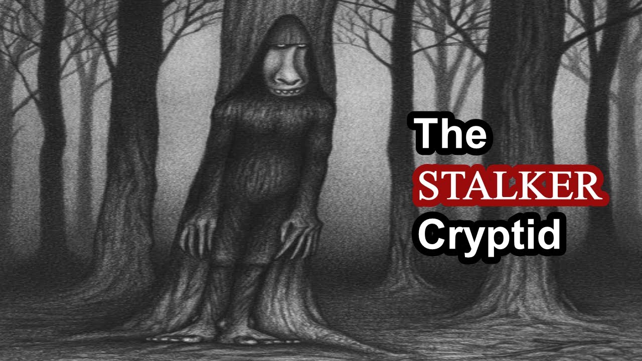 Cryptid Profile: The Hidebehind, Spooky Cryptid That Stalks and Kills You - YouTube
