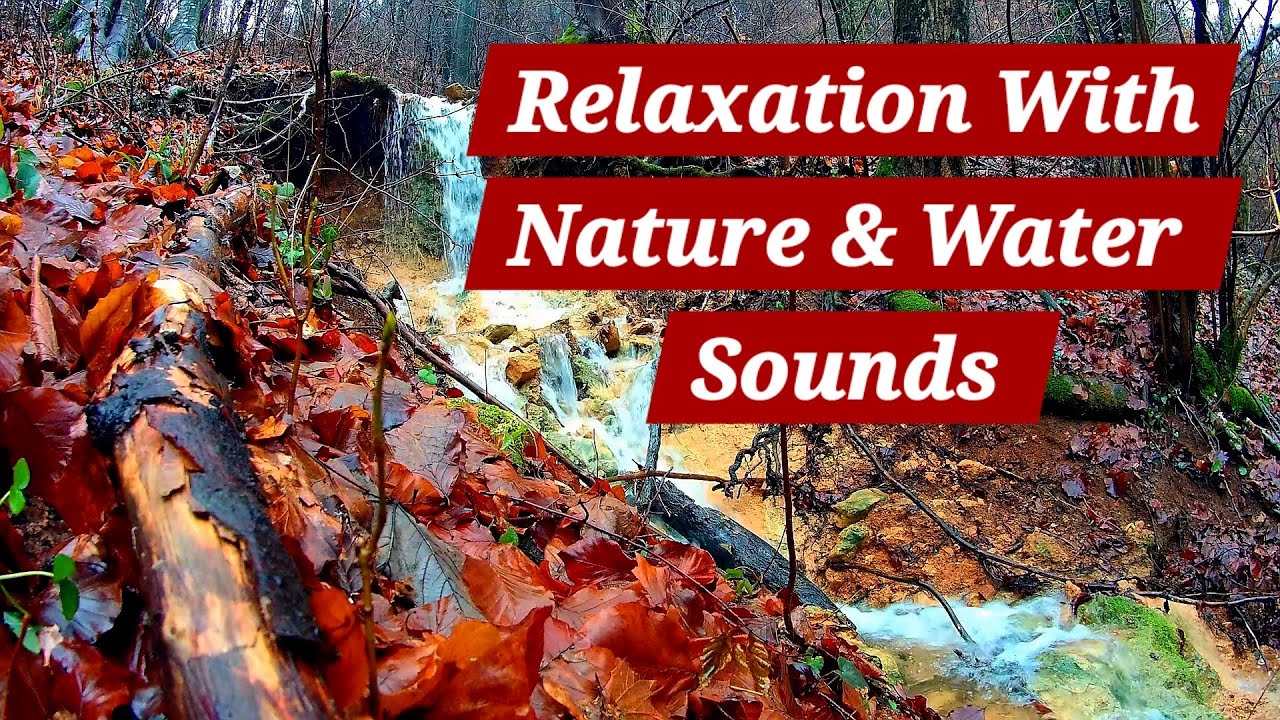 Most Relaxing Water Stream to Soothe Your Mind & Soul | Hours of Pure ...
