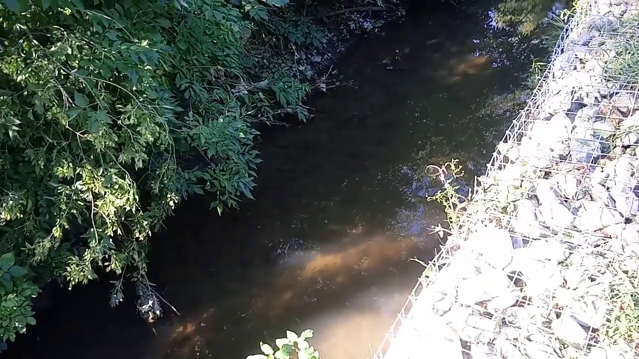 South Branch Ralston Creek Iowa City, near Court Hill Park - YouTube