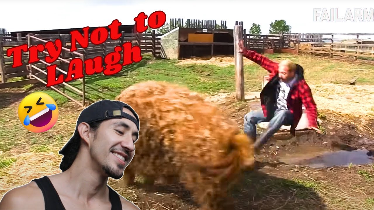 People Vs Animals: Funny Animal Fails Compilation | Try Not to Laugh ...