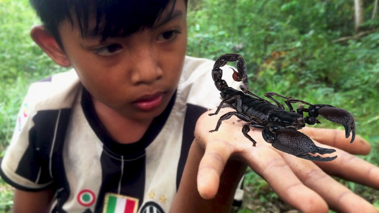 Terrifying! Brave Boy Catches Big Scorpion In Hole By Digging - How To ...