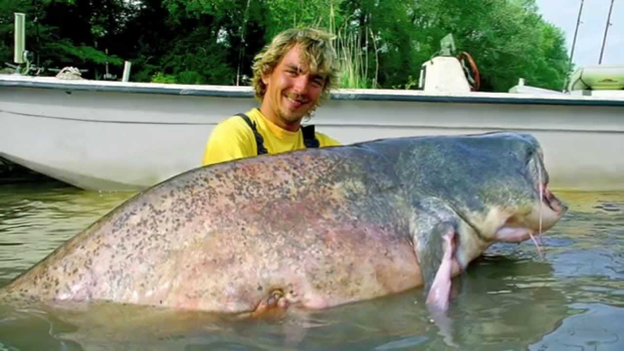 Rhino DF - Rutentest - YouTube