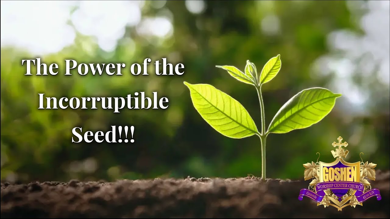 GWCC Sunday Broadcast:" The Incorruptible Seed" - YouTube