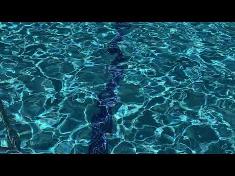 Nicolas wilches verano 2020 - YouTube