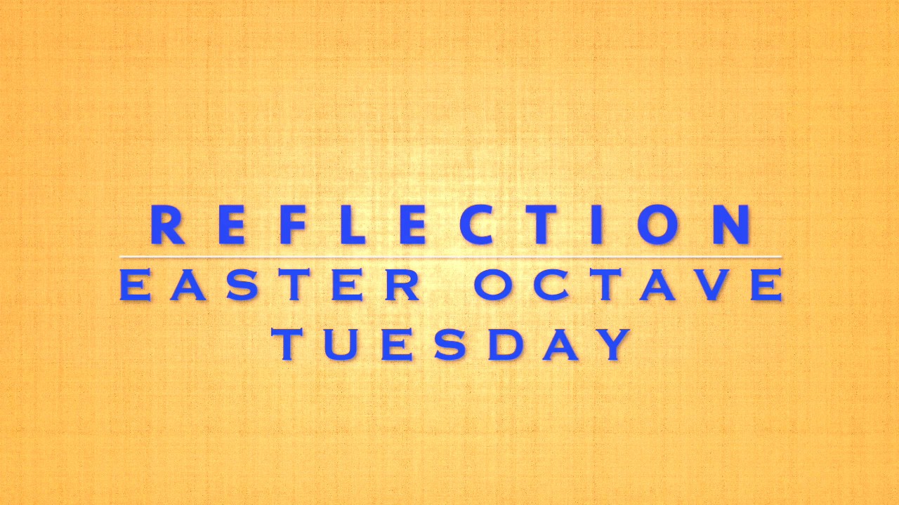 Reflection - Easter Octave Tuesday - YouTube