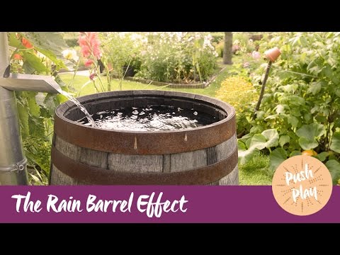The Rain Barrel Effect: Understanding Your Toxic Body Burden - YouTube