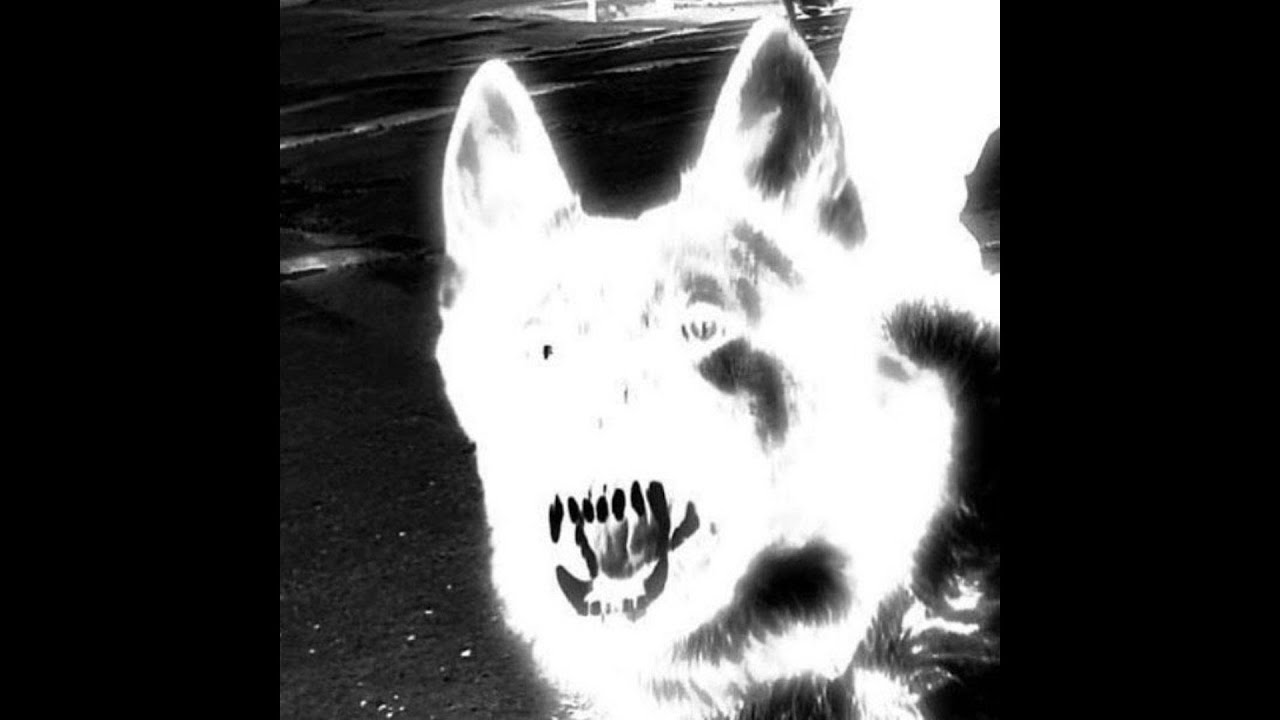 [FREE] ICYTWAT x LUCKI Type Beat "GHOST" - YouTube