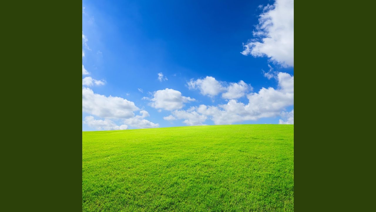 The Silent Robots - YouTube