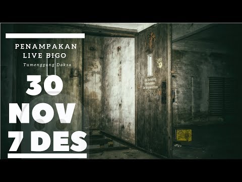 penampakan Live Bigo tanggal 30 november - 7 desember