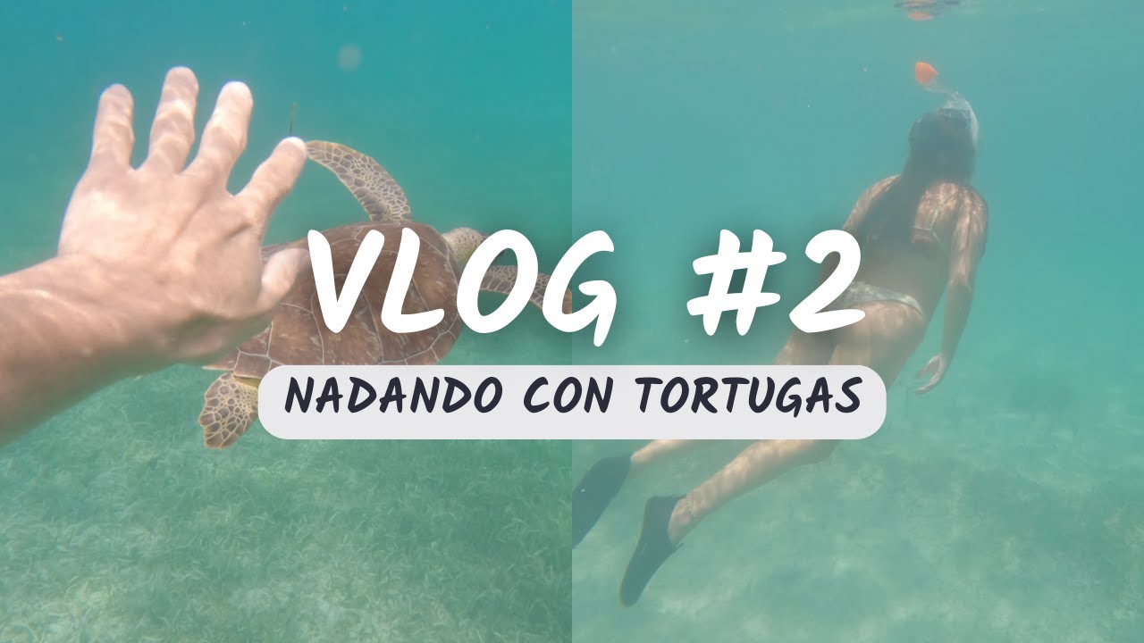 NADANDO CON TORTUGAS | PLAYA TAMARINDO EN CULEBRA - YouTube