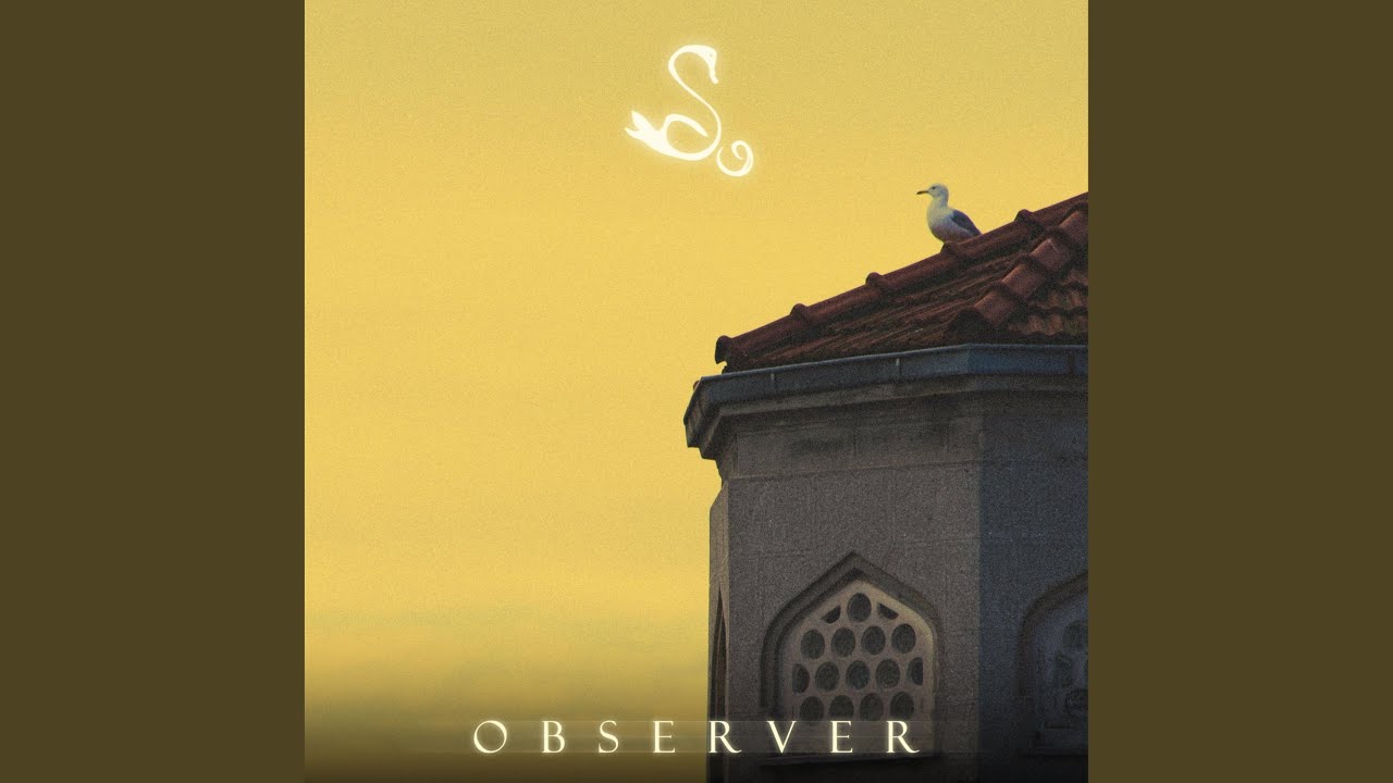 Observer - YouTube