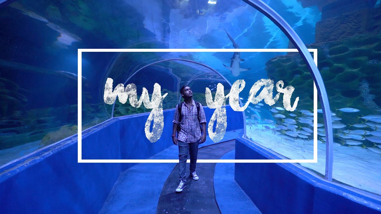 My year 2019 | Cinematic Travel Video | Muthu Sankar - YouTube