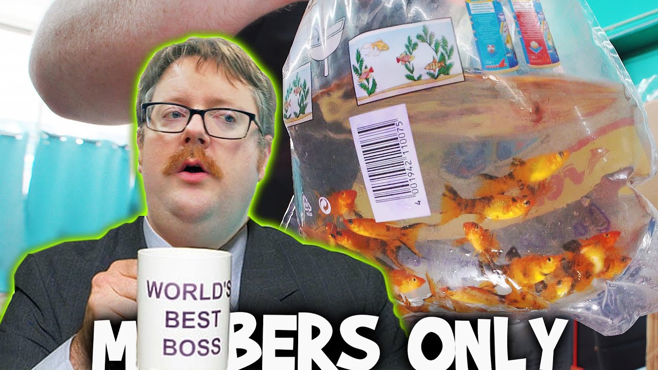 Fish Unboxing by the World's Best Boss [Members Only] - YouTube
