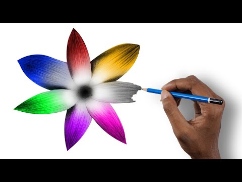 RAIN LILY PINK FLOWER drawing |||| PINK RAIN LILY  FLOWER drawing