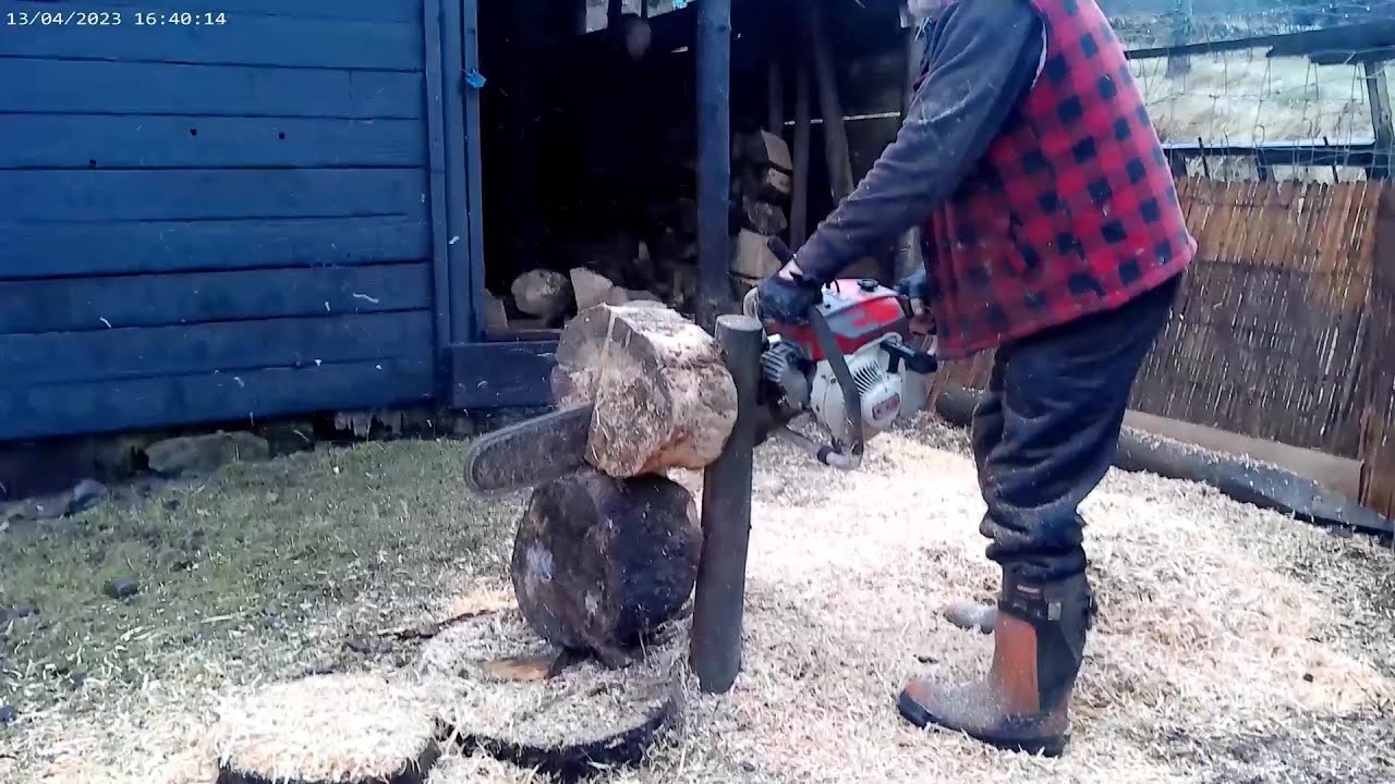 stihl 070 Dry wood tremblers Kick Back imminant - YouTube