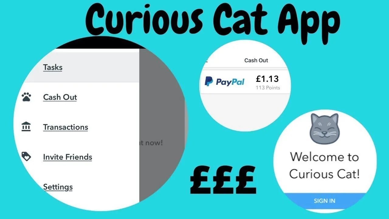 Curious Cat App Hack | Paid Surveys | Money For Surveys - YouTube