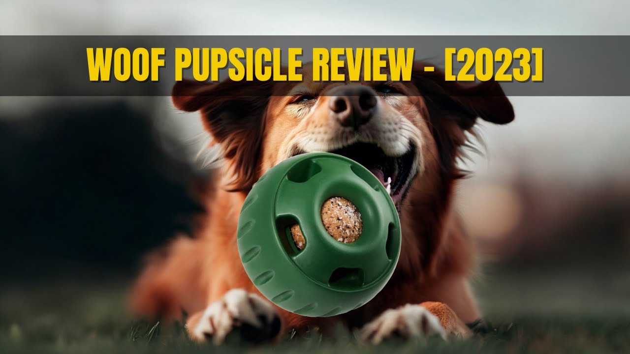 WOOF Pupsicle Review – [2023] - YouTube