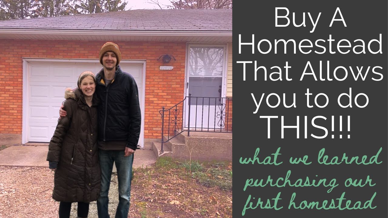 The Questions you NEED to ask when Buying a Homestead | How we ...