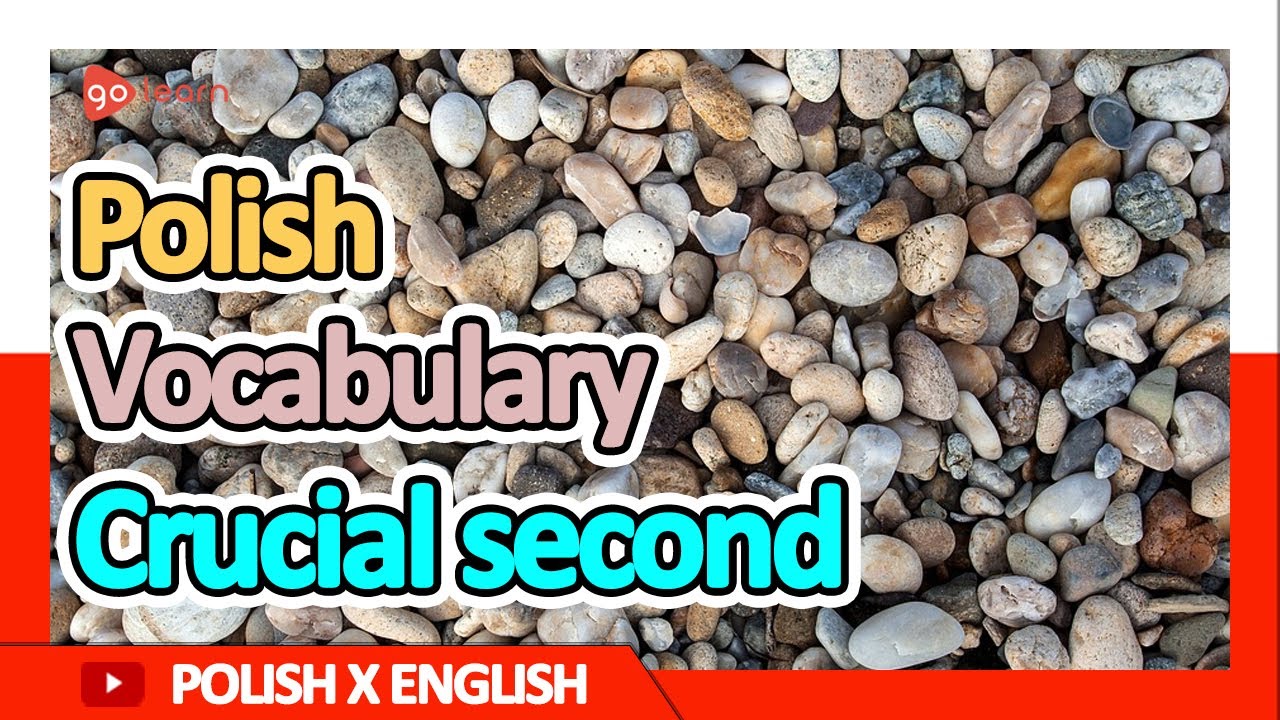 Learn Polish |Part 9: Polish Vocabulary Crucial second | Golearn - YouTube