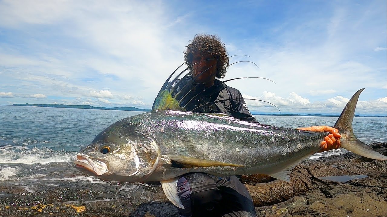 Big Roosterfish On Surface lure - Testing Long Cast Travel Rod part 2 ...