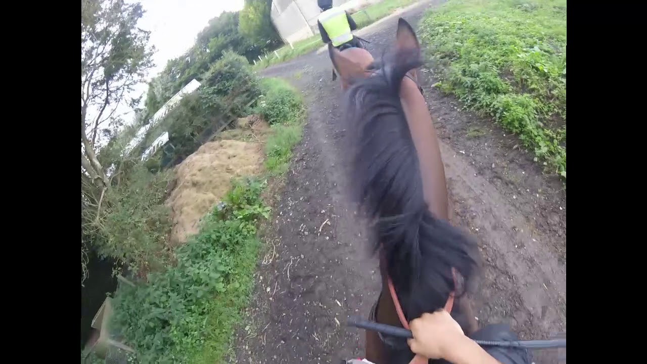 Ralph Beckett Ulysses grass hurdles 06 09 - YouTube