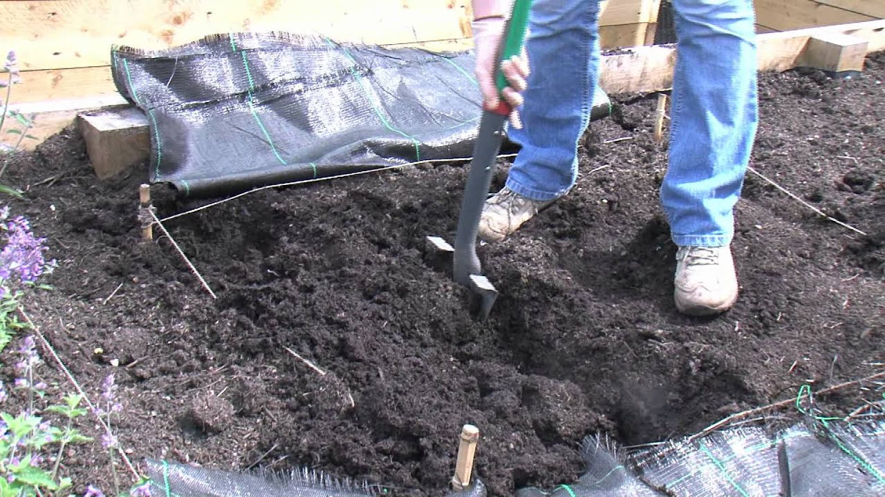 Soil Cultivation (digging) - YouTube
