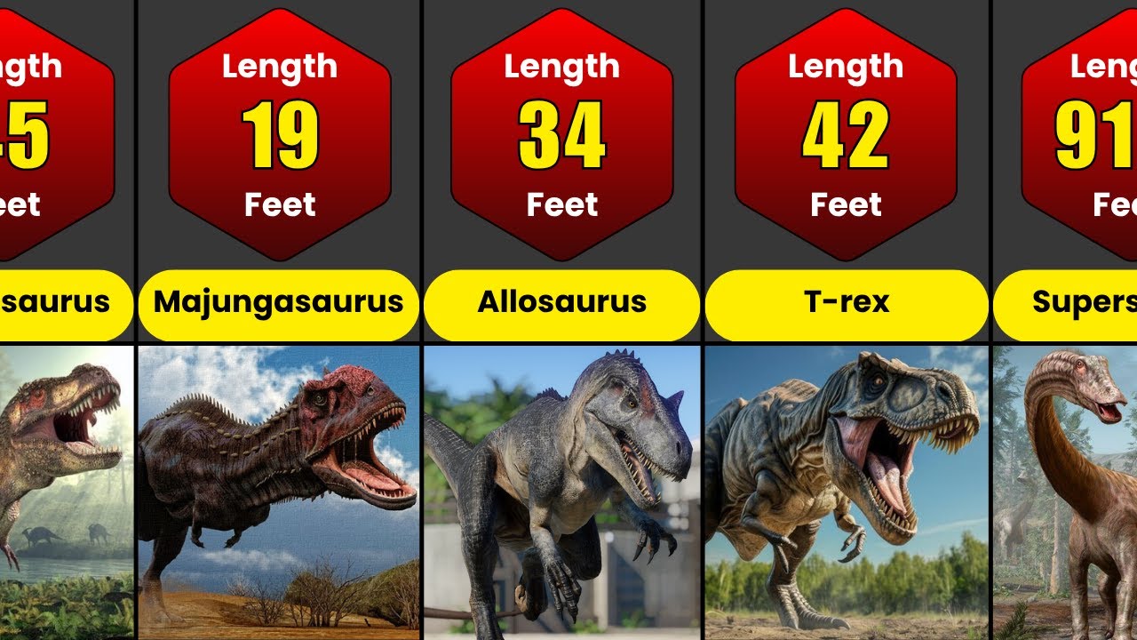 Dinosaur Size Comparison | Top 50 Dinosaurs That Grew HUGE! - YouTube