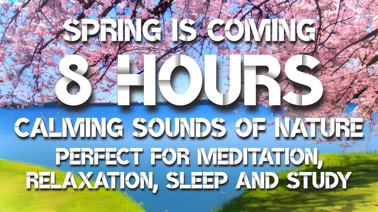 8 Hours Relaxing Music | Calming Sounds of Nature for Sleep, Relaxation ...