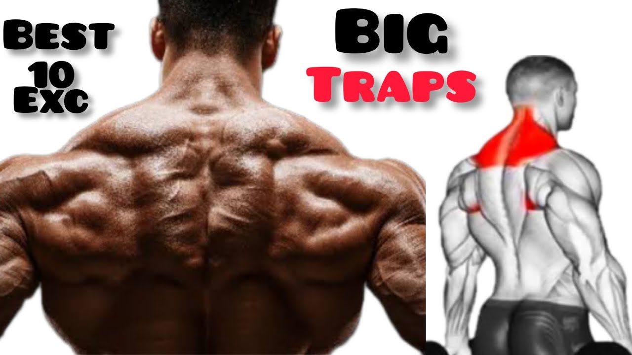 10 BEST TRAPS WORKOUT AT GYM TO GET BIGGER TRAPS | MASSIVE TRAPS ...