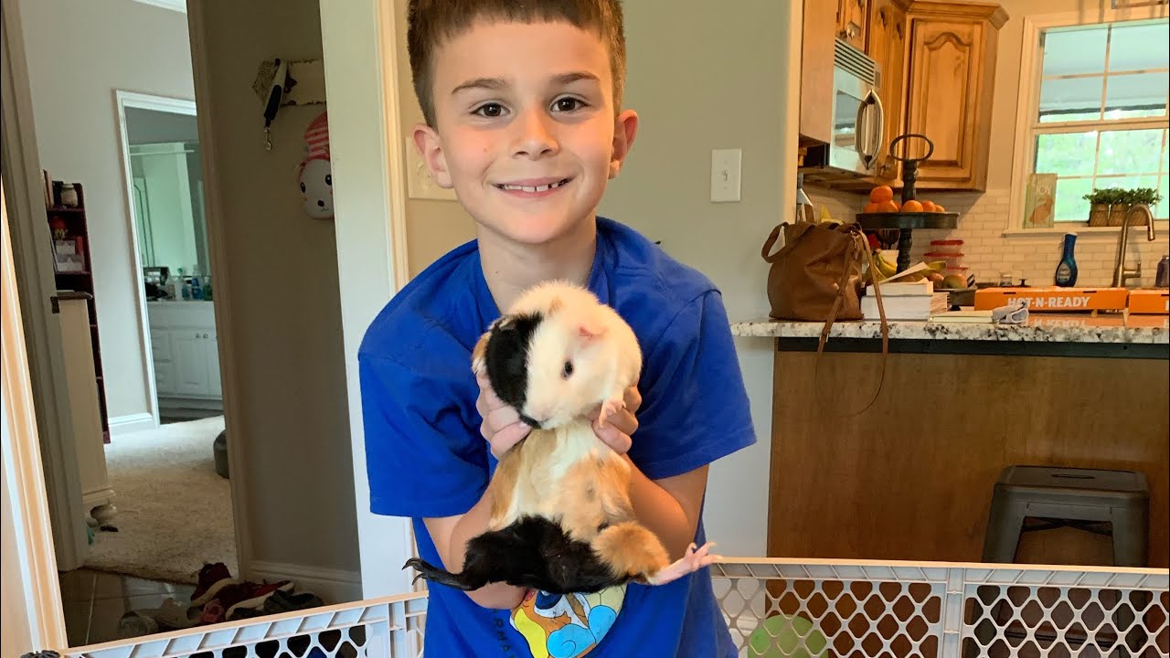 Meet my class pets - YouTube