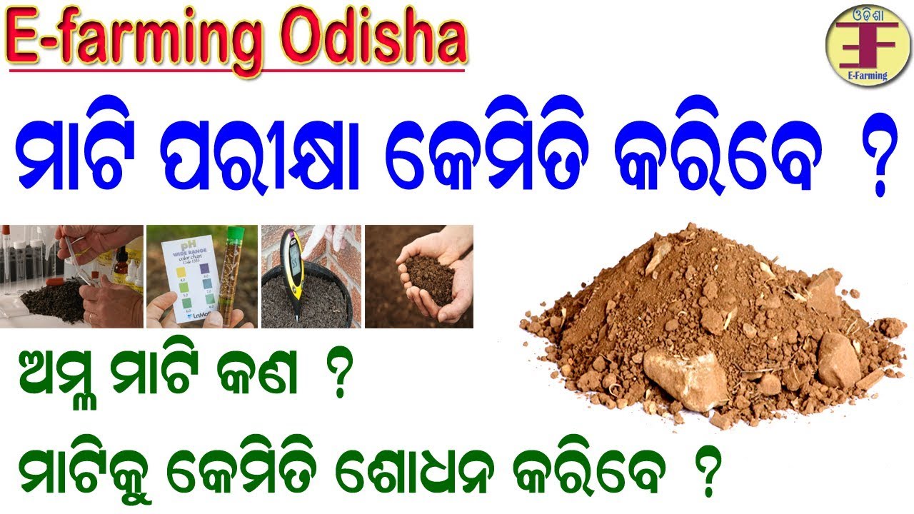 Soil testing for farming in odisha ( ମାଟିକୁ କେମିତି ପରୀକ୍ଷା କରିବେ ...