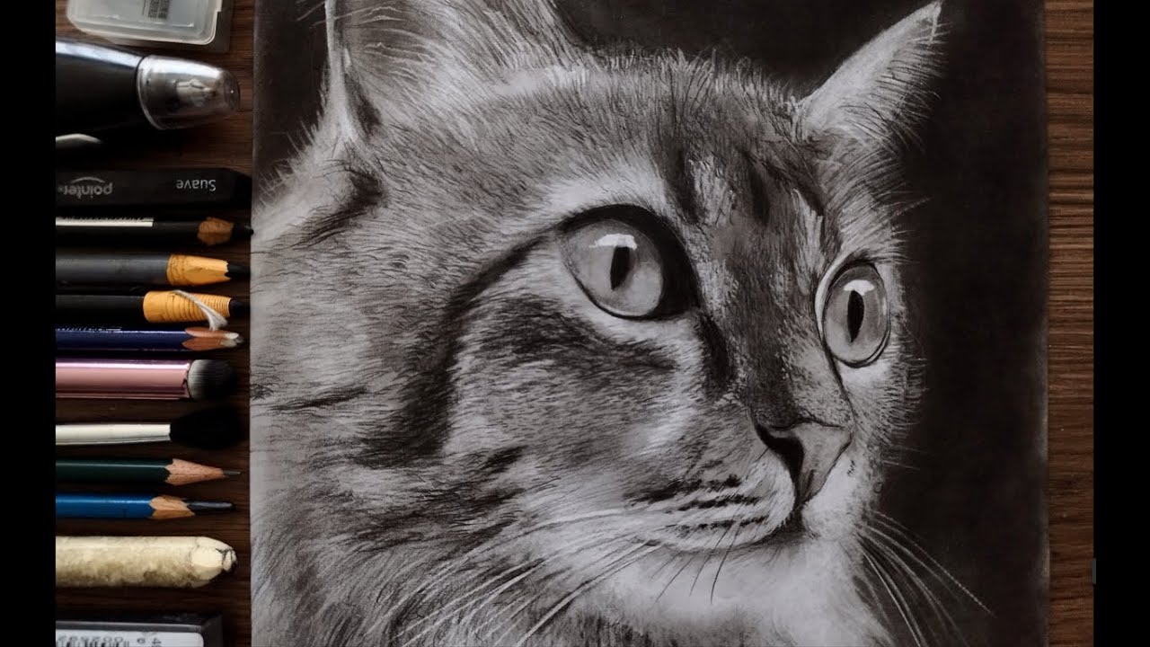 Cómo DIBUJAR un GATO en Carboncillo | Charcoal | TIME LAPSE - YouTube