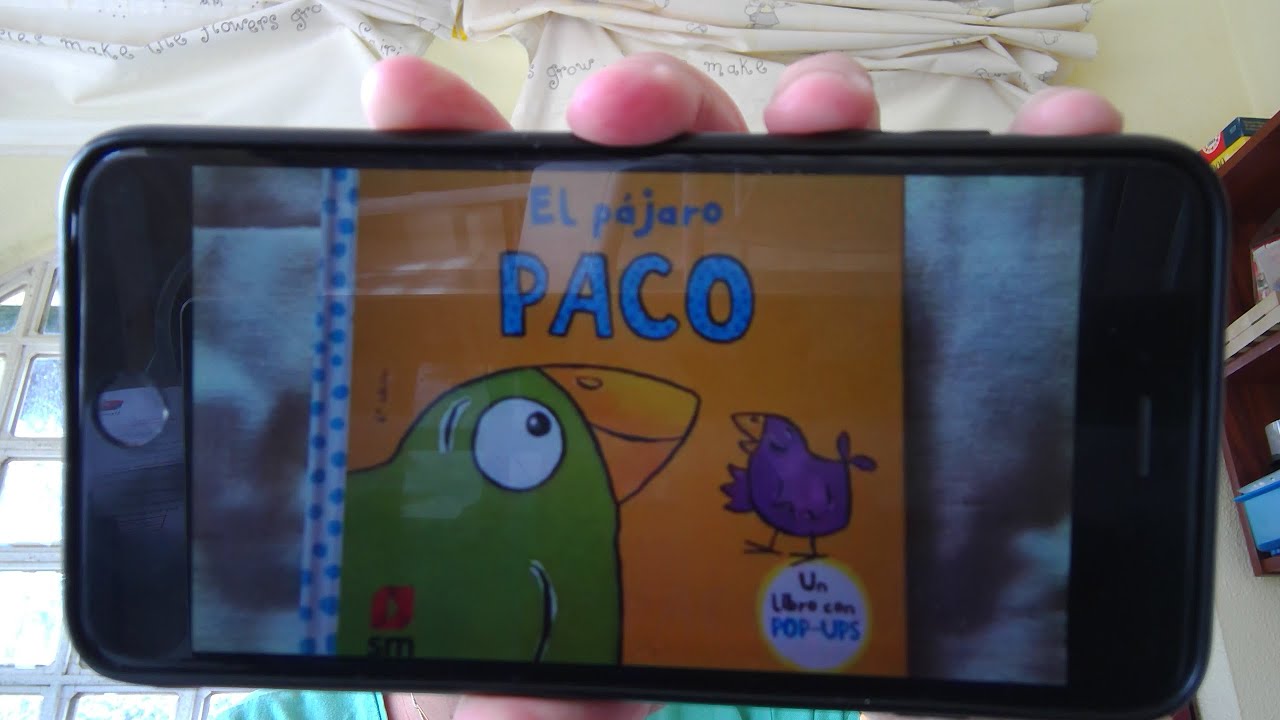 El pájaro Paco - YouTube
