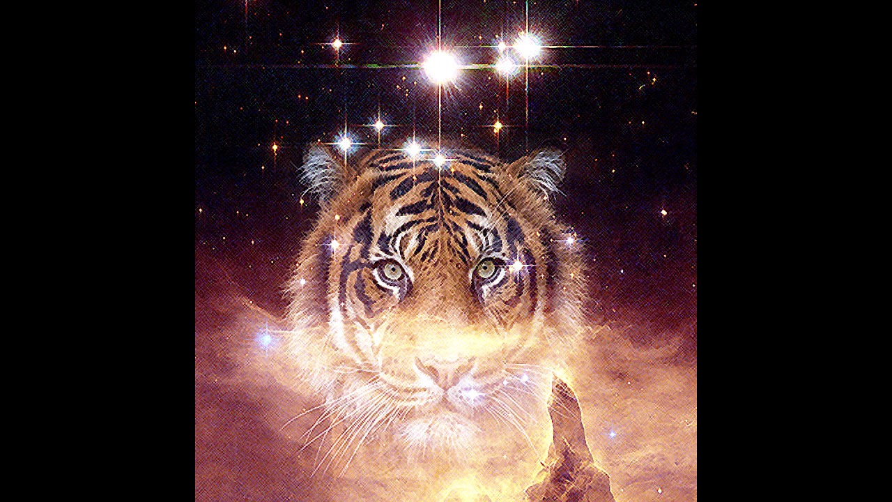 M-seq - Commander Makara - YouTube