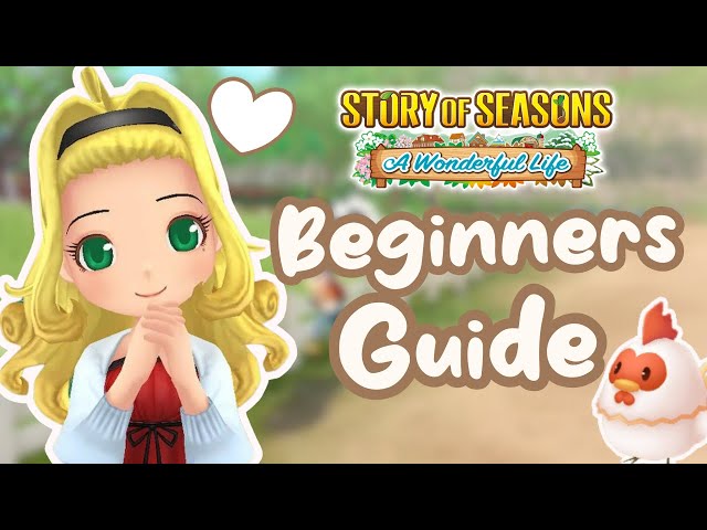 Story of Seasons: A Wonderful Life Cheats and Tips