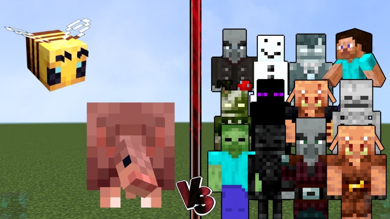 BEE + ARMADILLO vs ALL MOBS | Minecraft PE | Mob Battle - YouTube