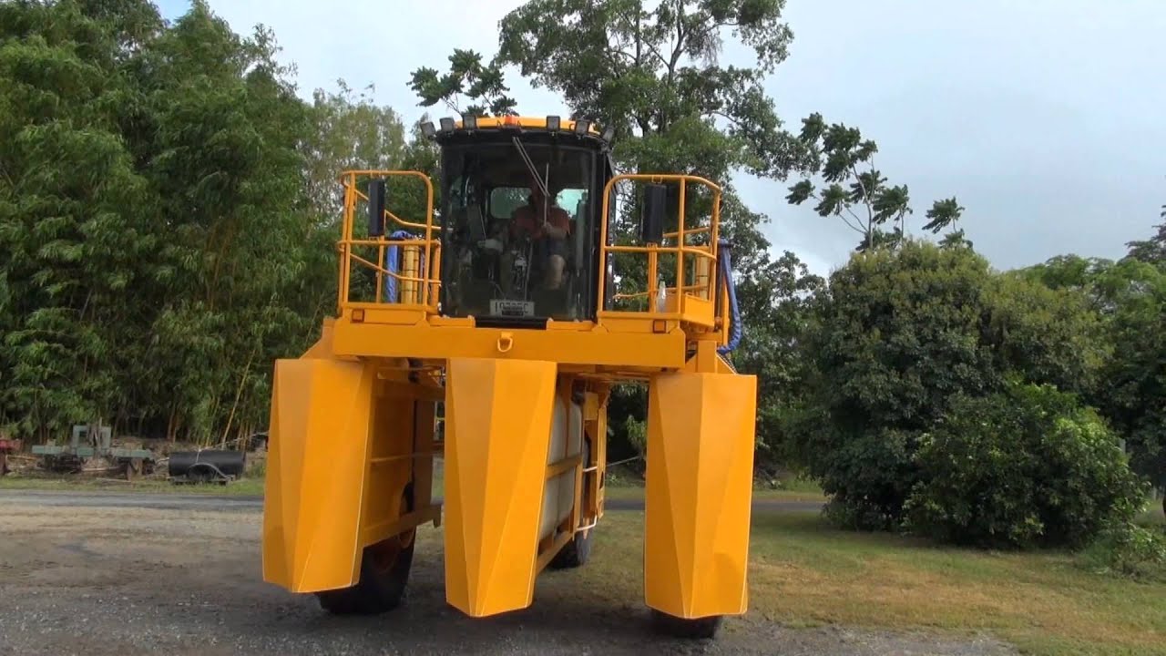 The Spraying Mantis - YouTube