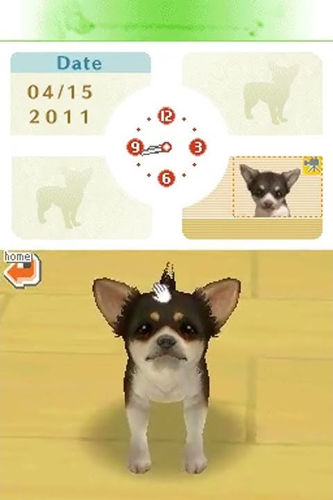 Nintendogs Chihuahua & Friends USA - Nintendo DS - YouTube