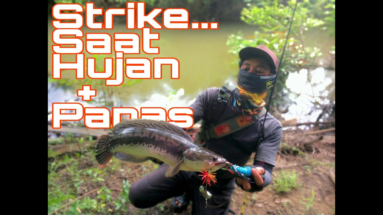 Mancing Casting Toman Waktu Terbaik #02 - YouTube