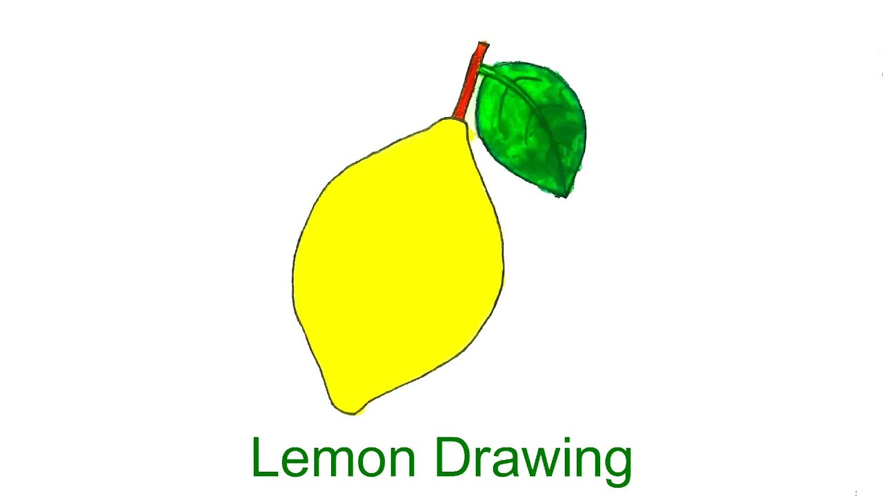 Lemon Drawing || How to Draw Lemon Step by Step || Easy Drawing Lemon ...