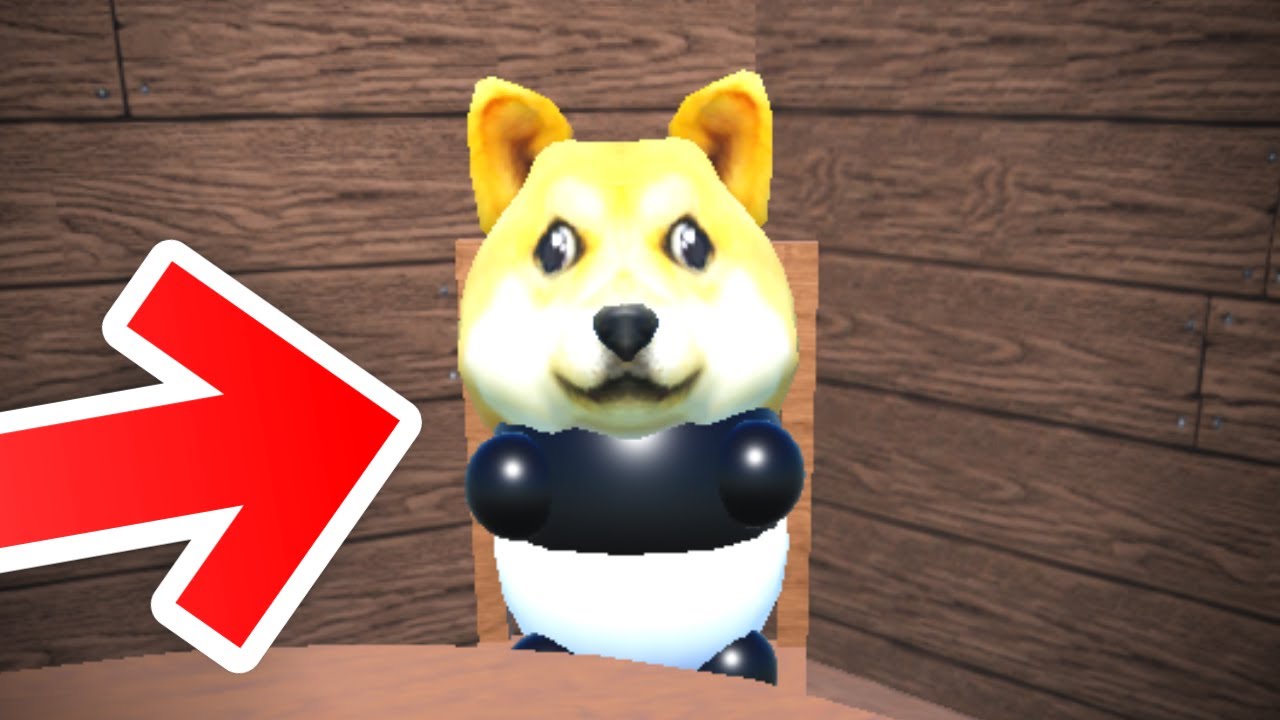 How To Find Doge Panda - Roblox Find The Pandas - YouTube