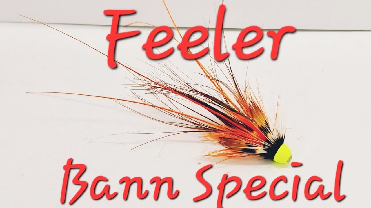 Fly Tying the Bann Special Feeler Shrimp - YouTube