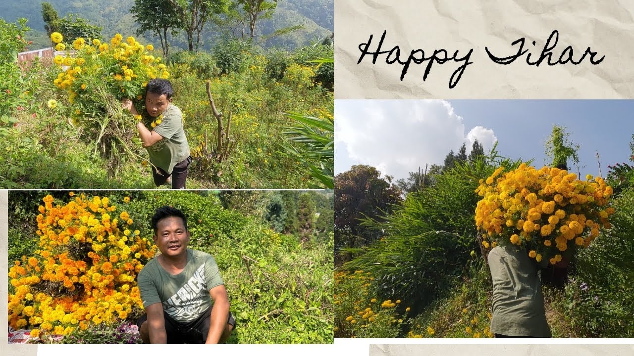 Dipen Da Ko Saipatri Aaja Katio||RJ Sagar - YouTube