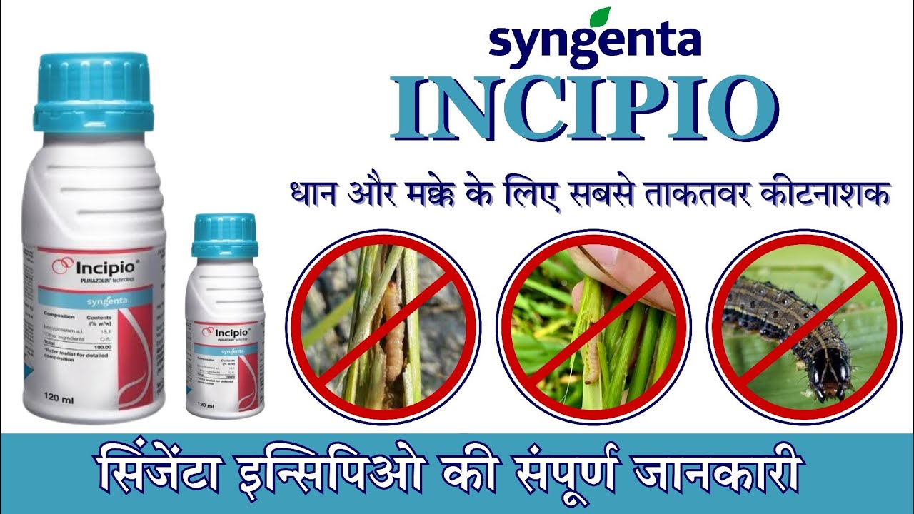 Syngenta Incipio Insecticide | Incipio Syngenta | Syngenta New ...