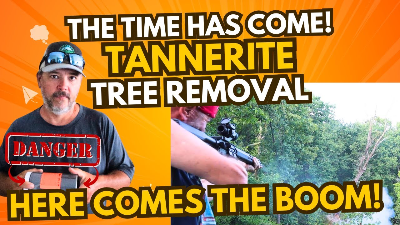 Blowing Up a Tree with Tannerite | Tannerite Tree Removal Explosion Warning! - YouTube