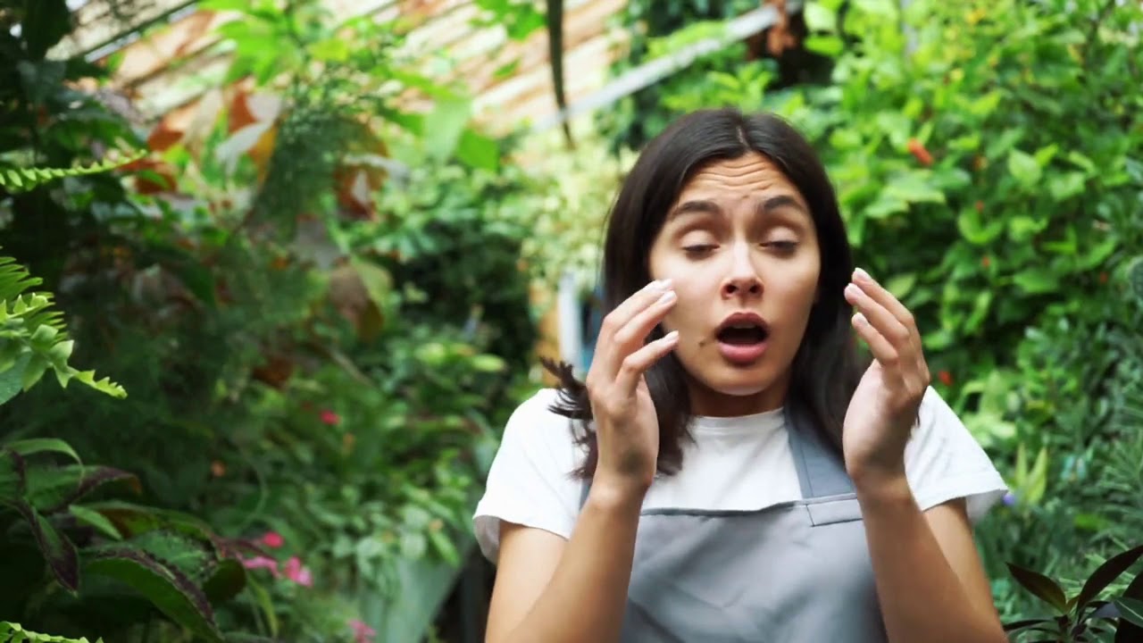 Book Talk Bloom by Kenneth Oppel - YouTube