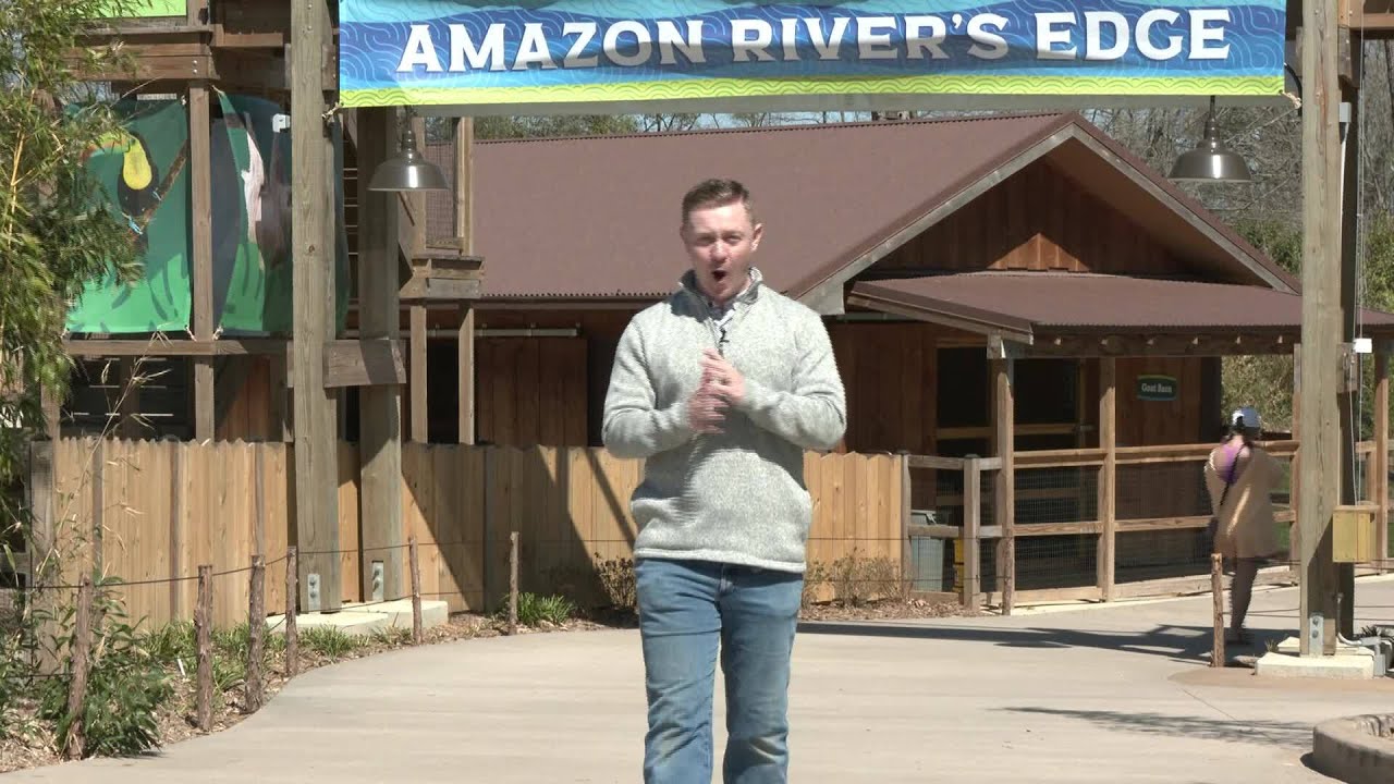 IN FOCUS: Meet the animals of Caldwell Zoo's 'Amazon River's Edge ...