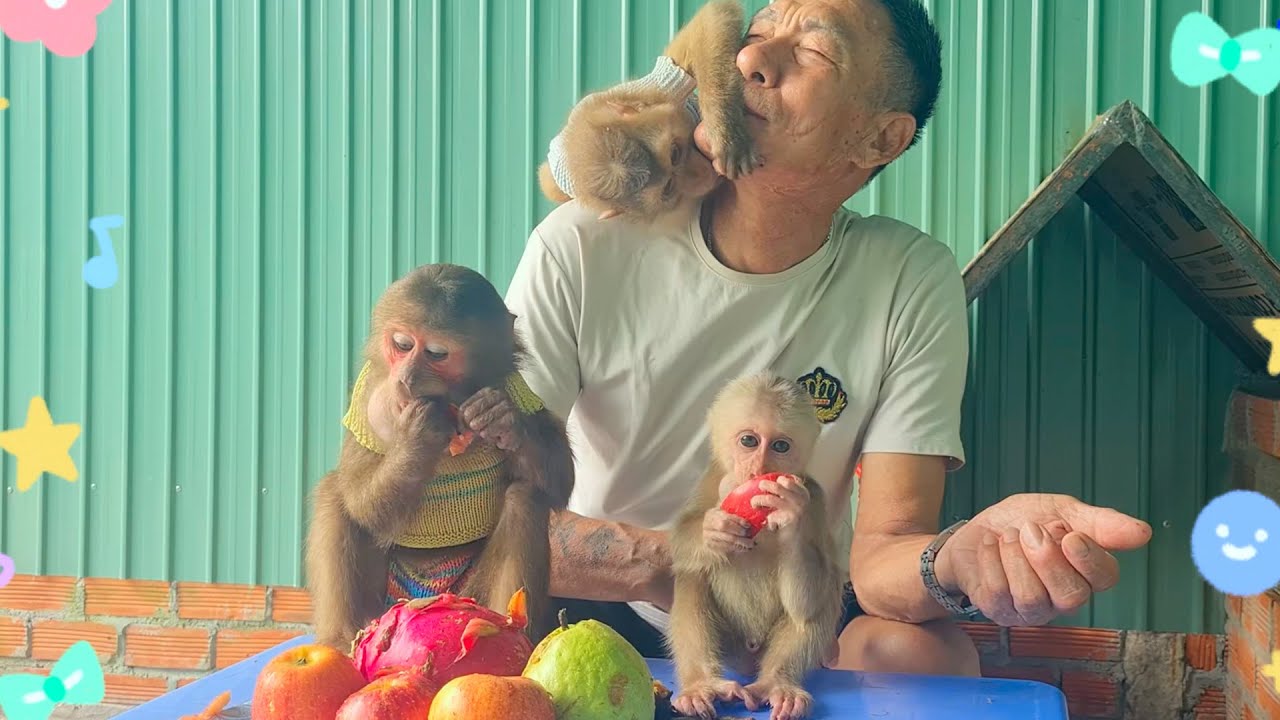 Monkey baby Theo and monkey enjoy fruit - YouTube