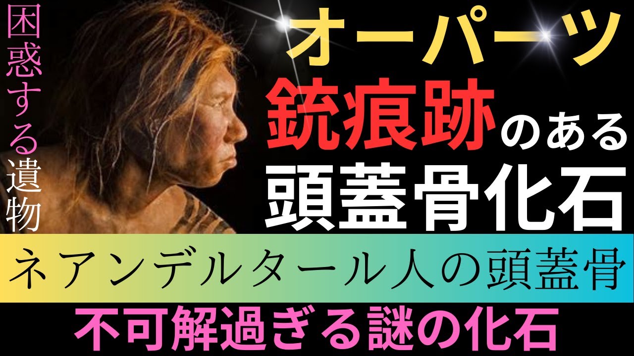 【オーパーツ】銃痕跡のある「ネアンデルタール人の頭蓋骨化石」の発見不可解過ぎる謎の化石古代遺物歴史 Youtube