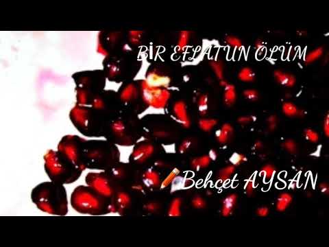 Behçet Aysan - Bir Eflatun Ölüm